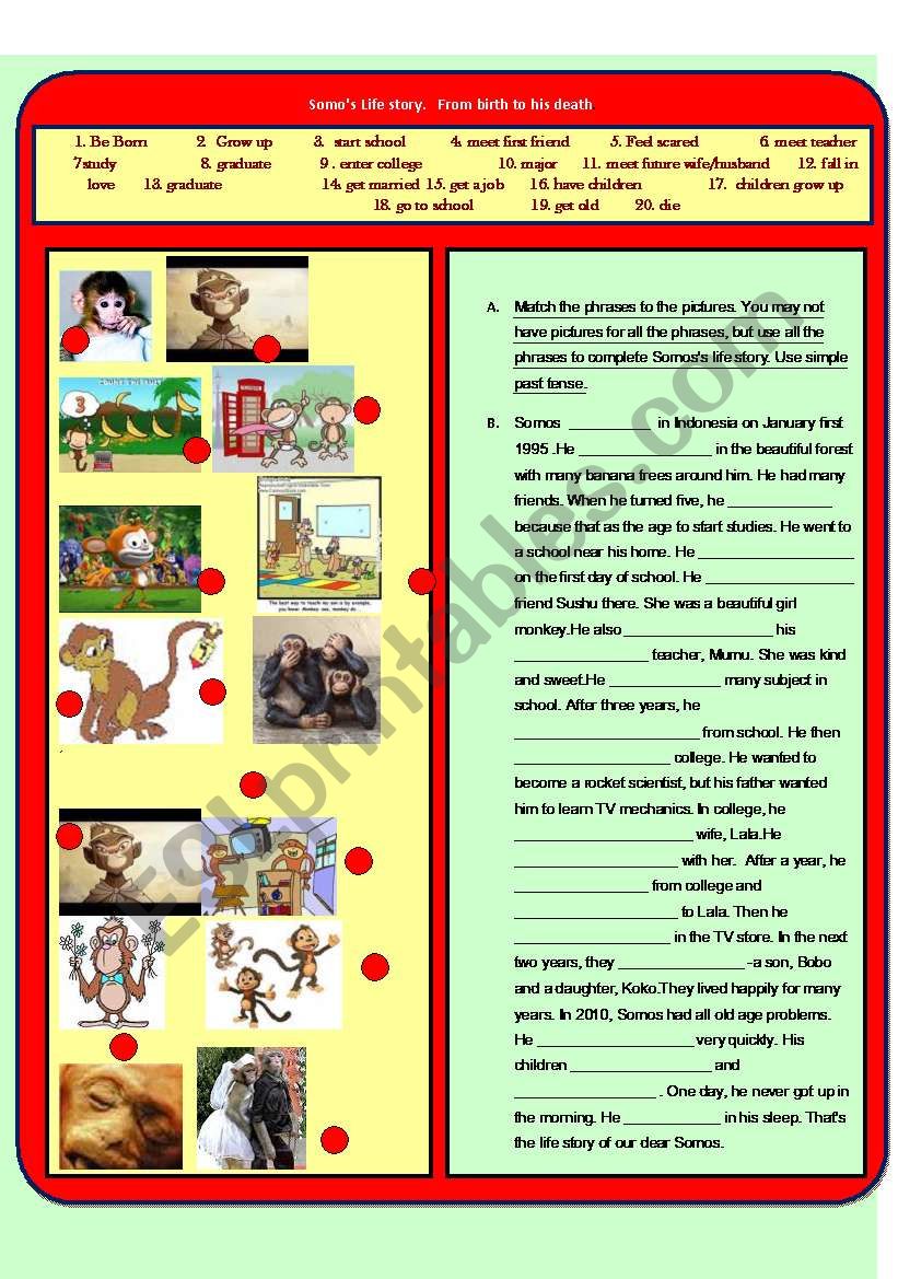 A monkey´s life story - ESL worksheet by nishakhaldoon