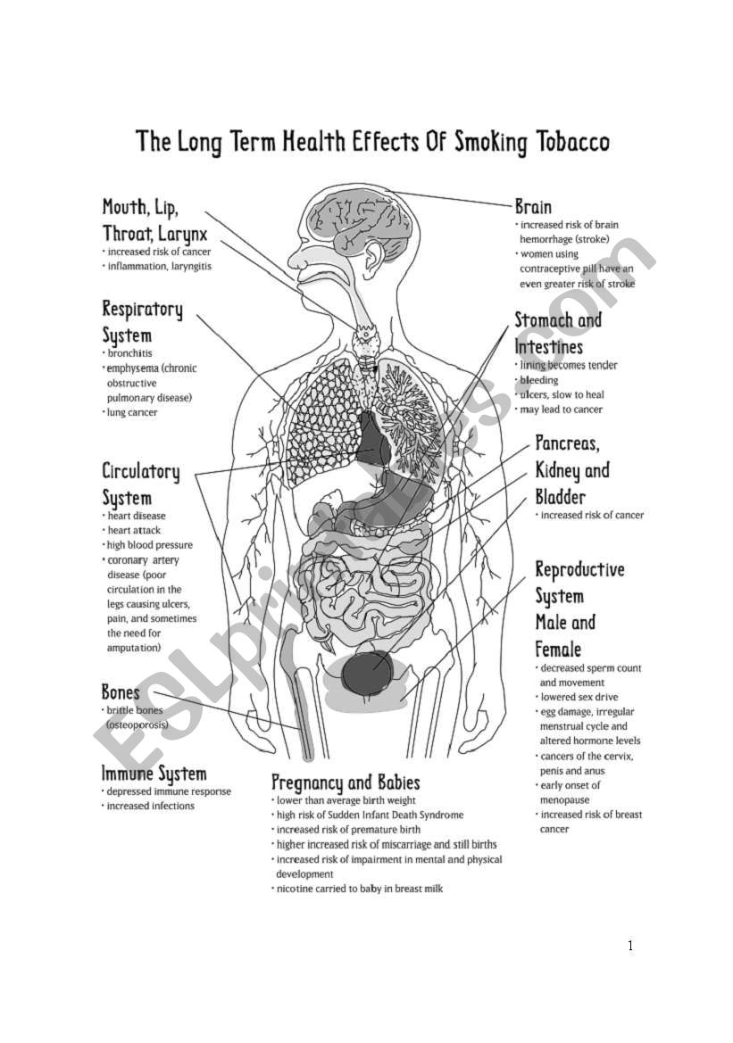 Don´t Smoke!! - ESL worksheet by sergiopicarzo