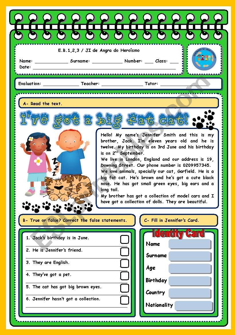 I´VE GOT A BIG FAT CAT - TEST ABOUT PETS AND COLLECTIONS (4 PAGES ...