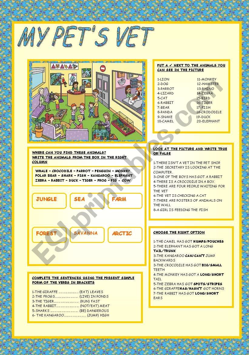 MY PET´S VET - ESL worksheet by ag23