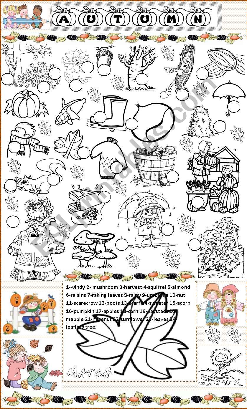 Autumn Printable Worksheets