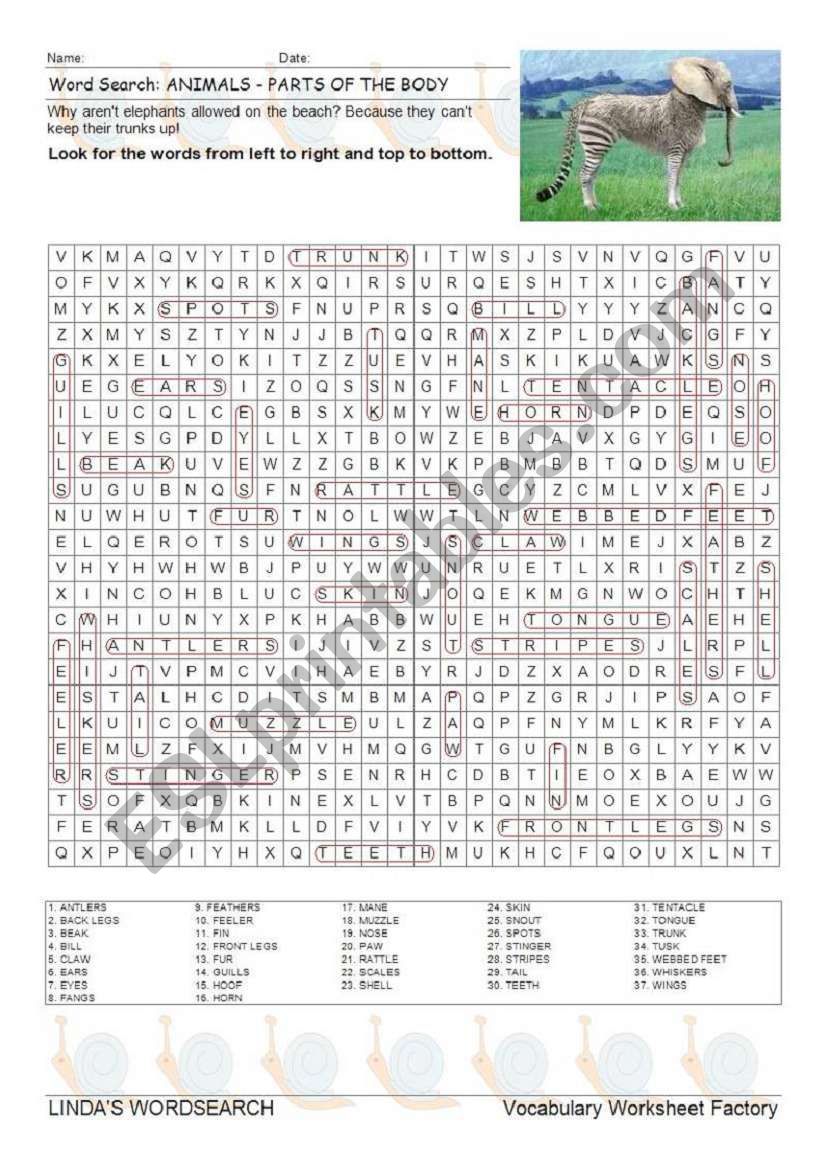 Animals With An I Word Search Pro