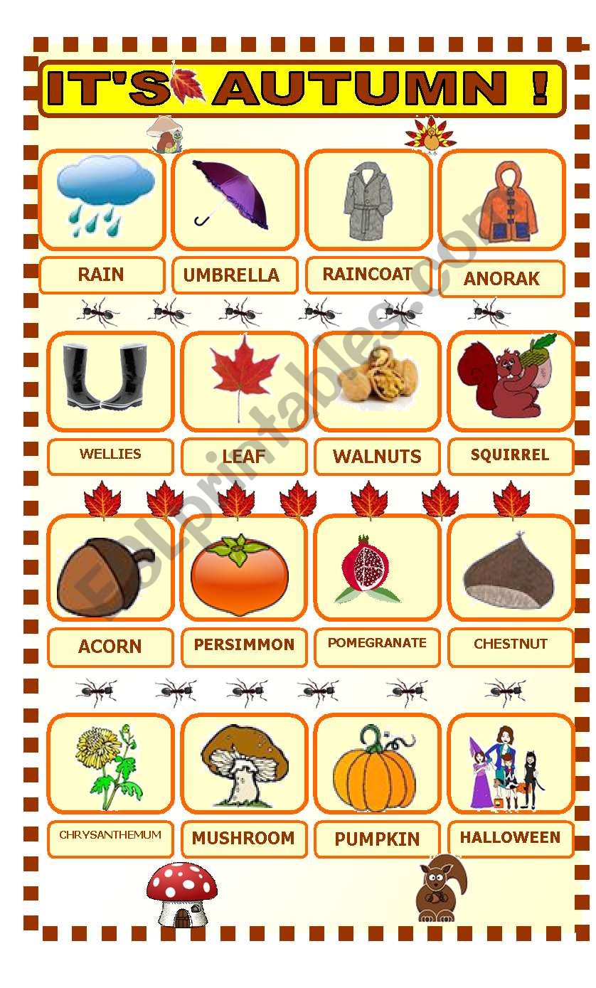 It´s Autumn - ESL worksheet by mariannina