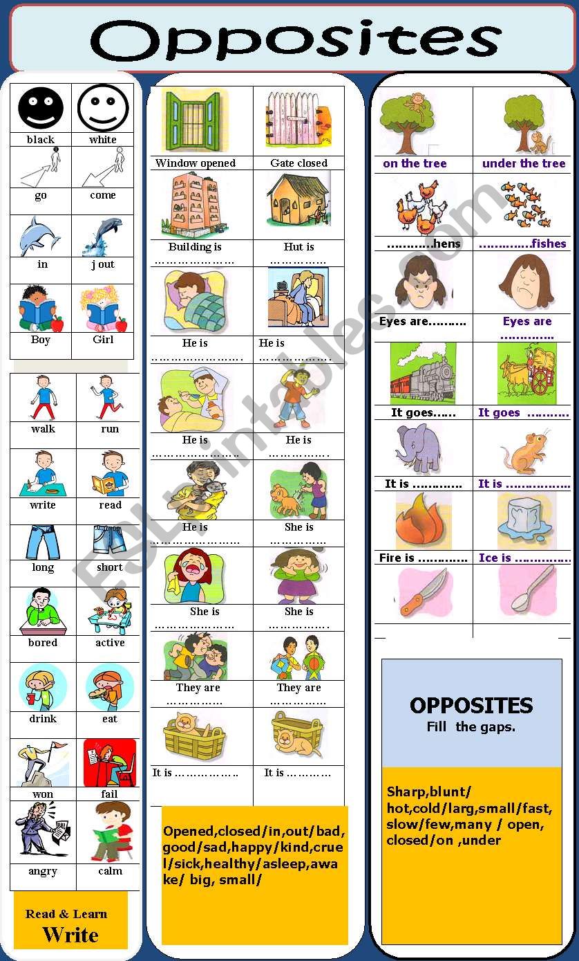 Opposites Esl Worksheet By Jhansi