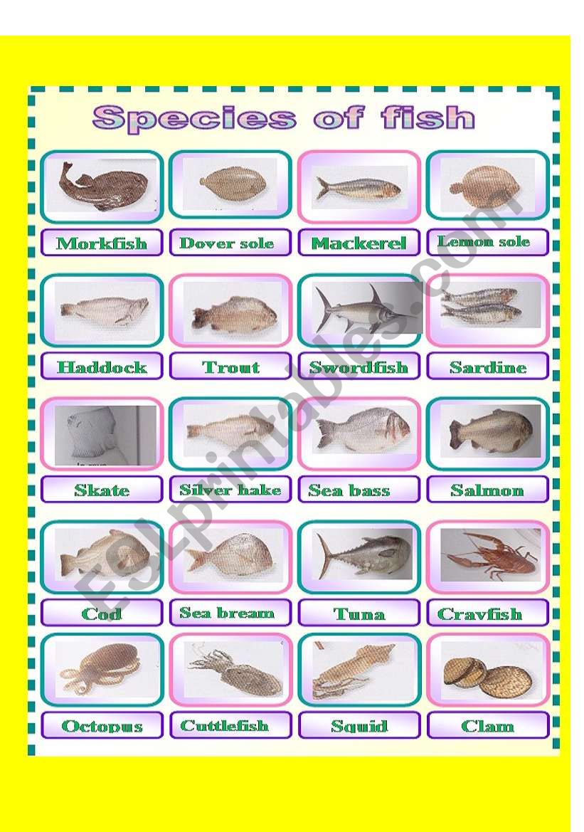 píctionary different species of fish - ESL worksheet by la mente maestra