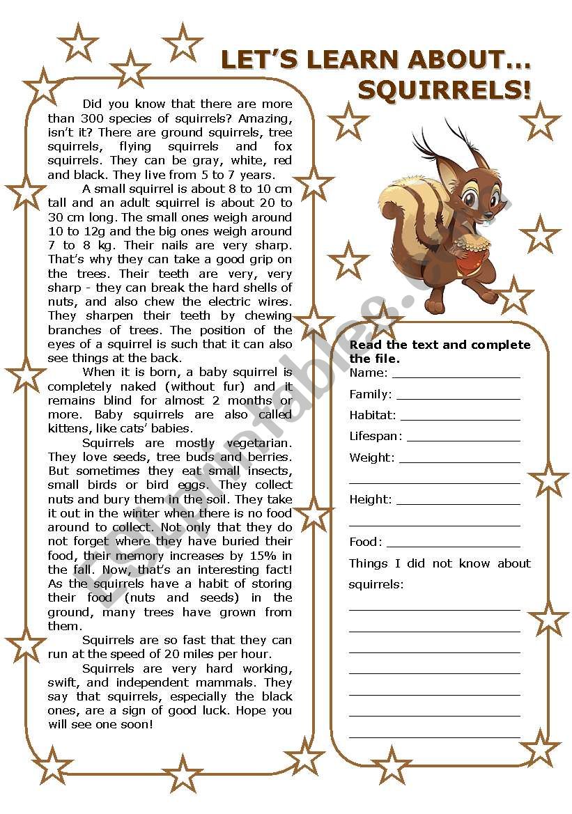 LET´S LEARN ABOUT... SQUIRRELS - ESL worksheet by veljaca82