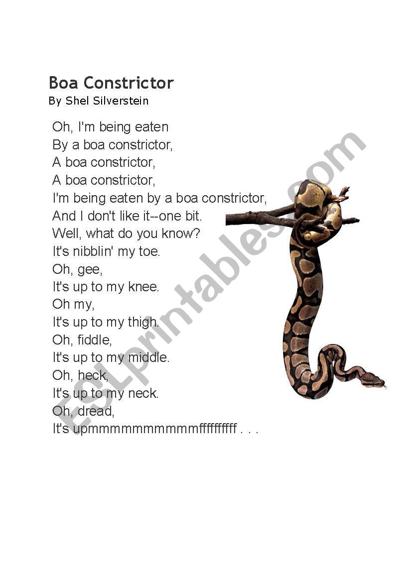 English worksheets: Shel Silverstein´s Boa Constrictor