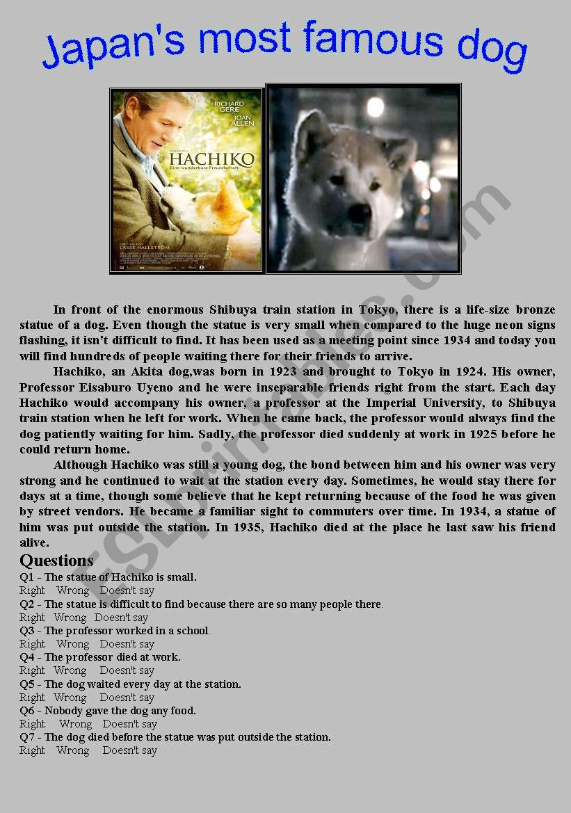 Japan´s most famous dog - ESL worksheet by mousaANN