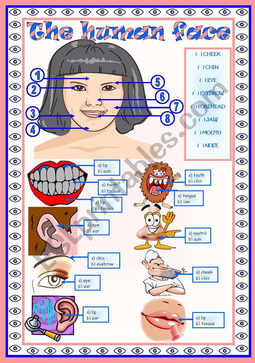 The human body (the face): vocabulary • face • 2 tasks • fully editable ...