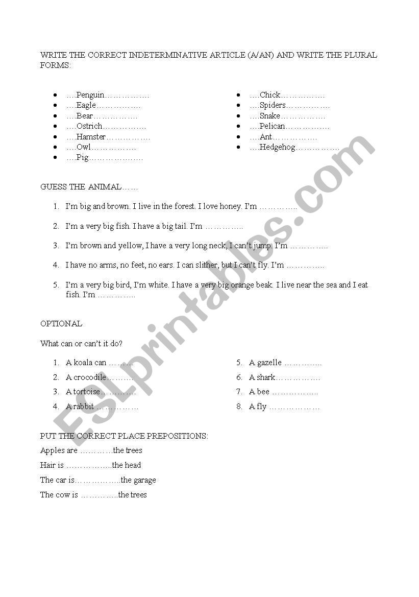 English worksheets: review can/can´t; indeterminative articles; plurals ...
