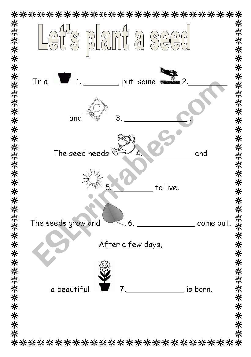 Let´s plant a seed! - ESL worksheet by mecch71