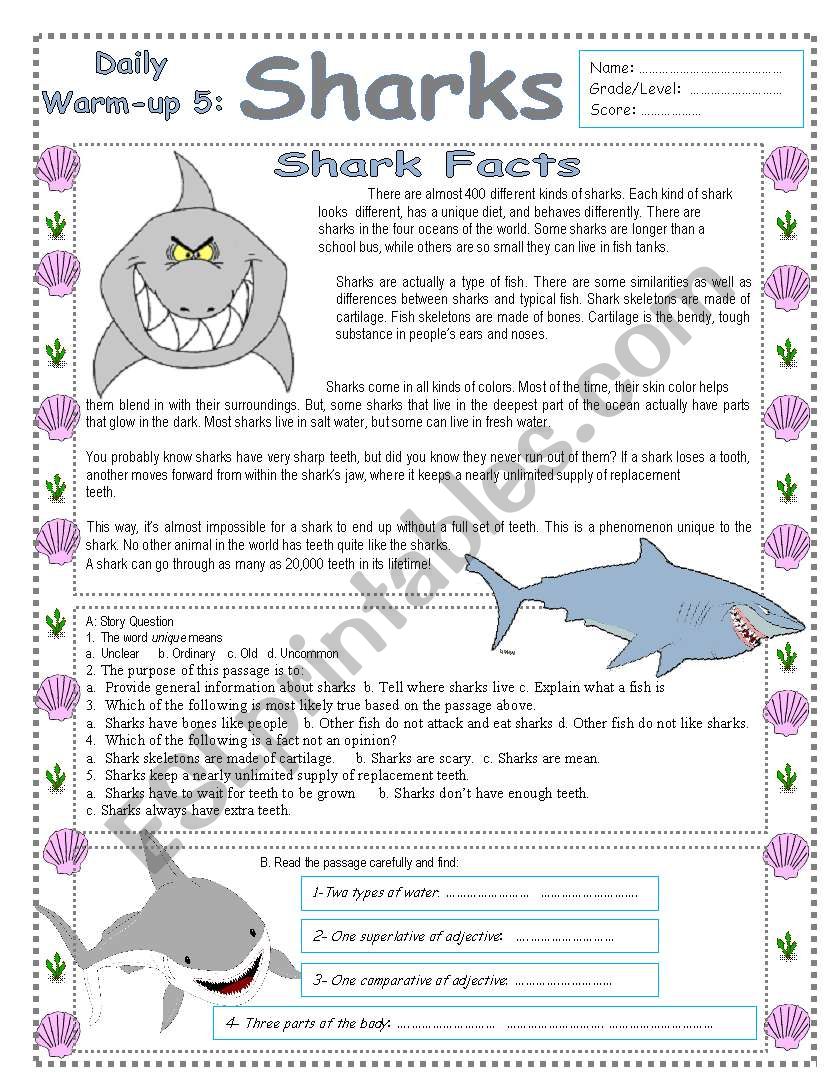 Daily Warm â€“ Ups 5 . Key included (5/10) - ESL worksheet by Silvy_E