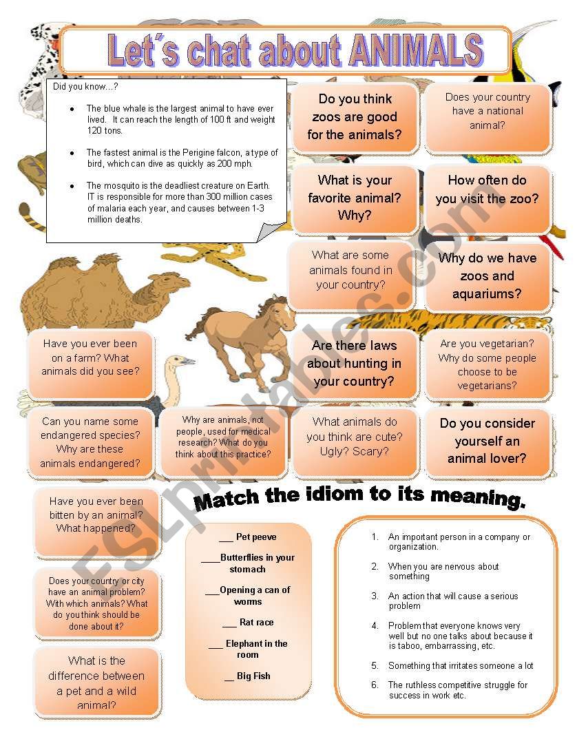 Let´s chat about ANIMALS - ESL worksheet by swanhime