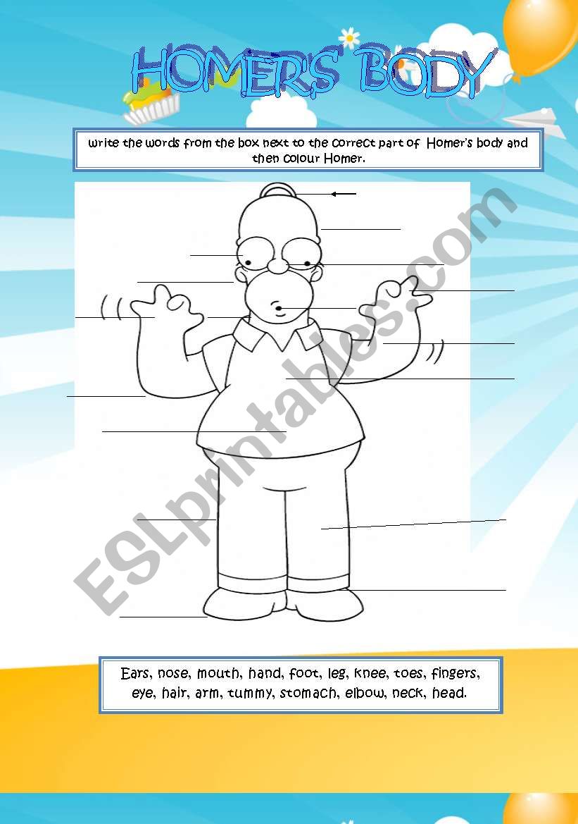HOMER´S BODY - ESL worksheet by sandytita