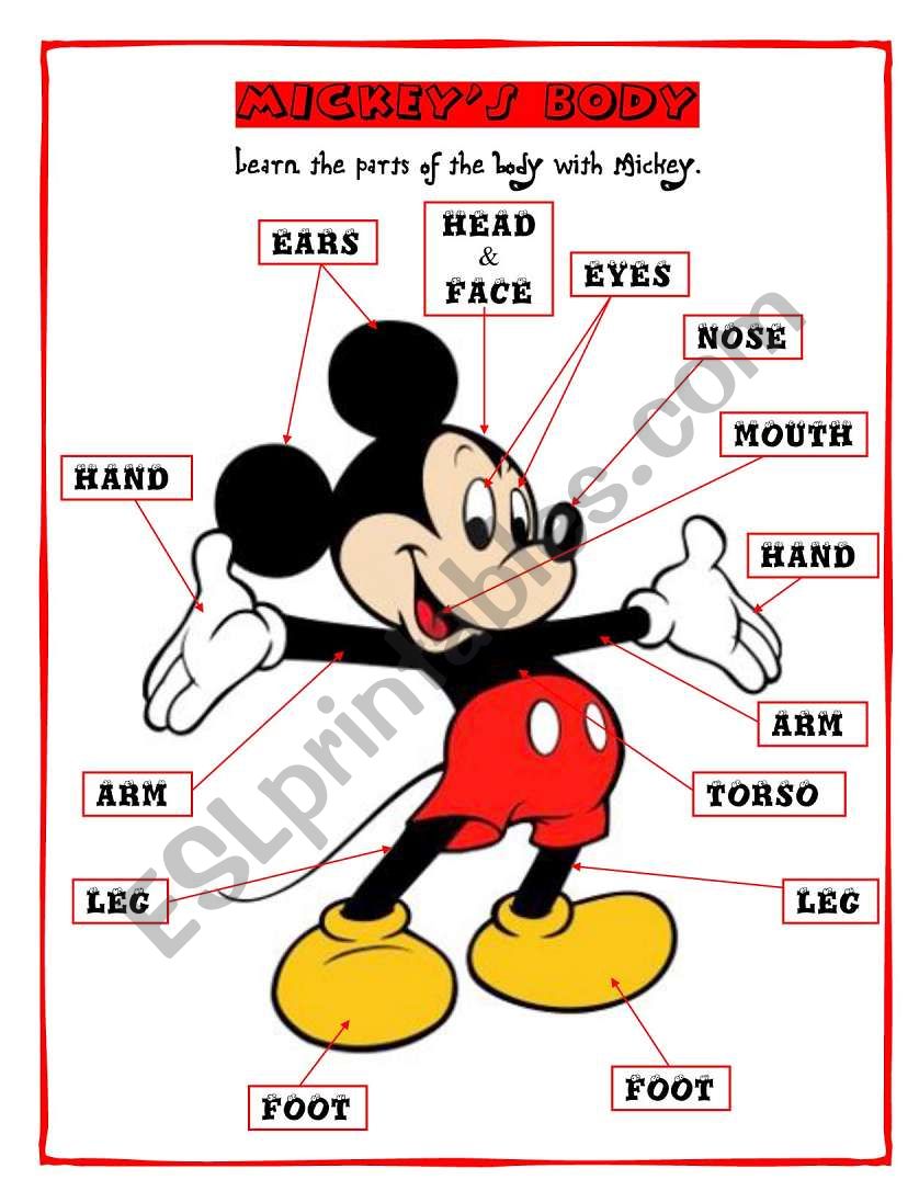 MICKEY´S BODY 1/2 - ESL worksheet by xochitsin