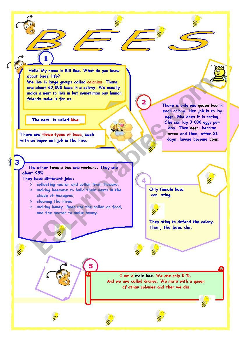 Bees´life - ESL worksheet by crigio