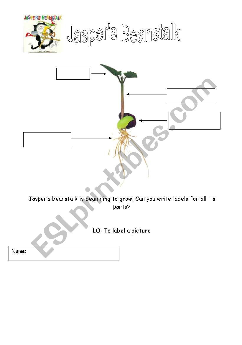 English worksheets: Jasper´s Beanstalk Labelling activity Science growing