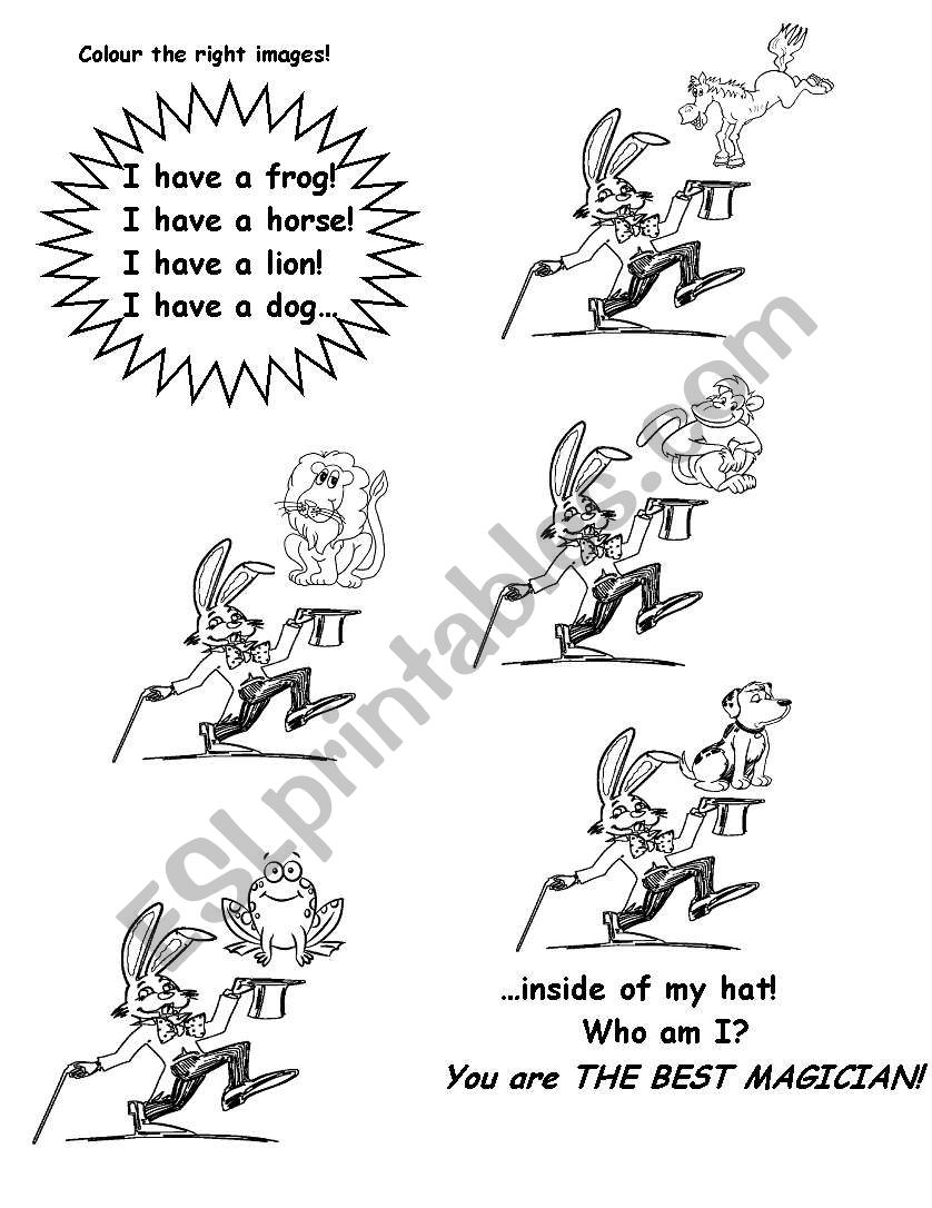 I´m the best magician!!! - ESL worksheet by andreea dak