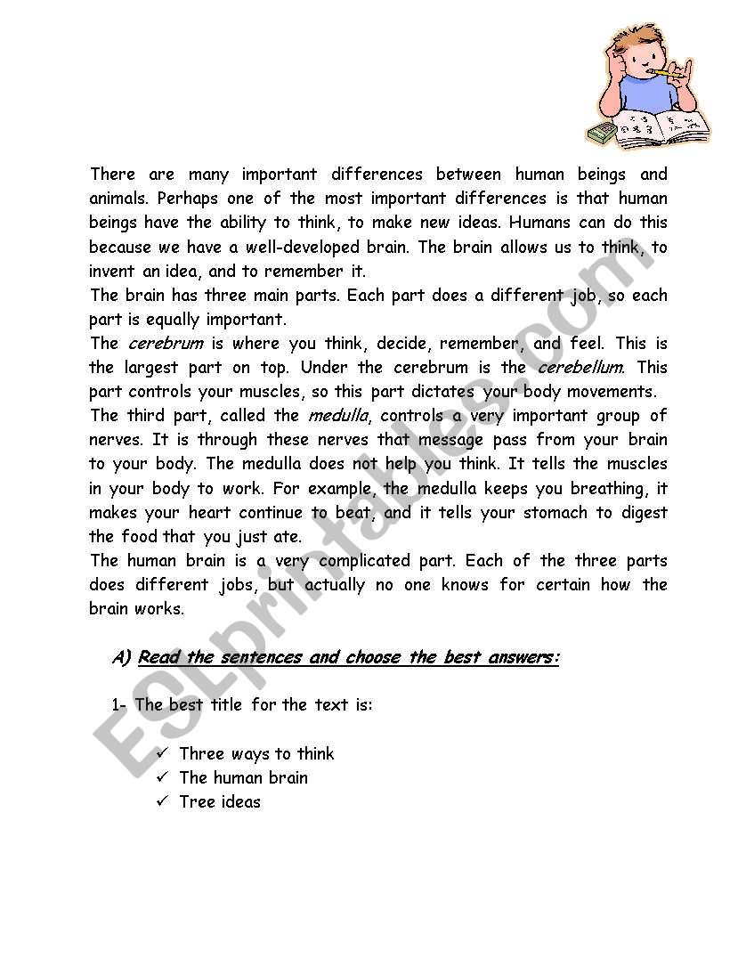 Reading (humanÂ´s brain) - ESL worksheet by fatensanad