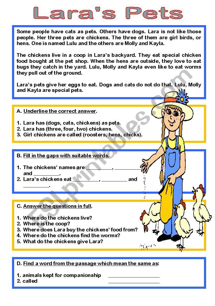 Lara´s Pets reading comprehension - ESL worksheet by Janet att