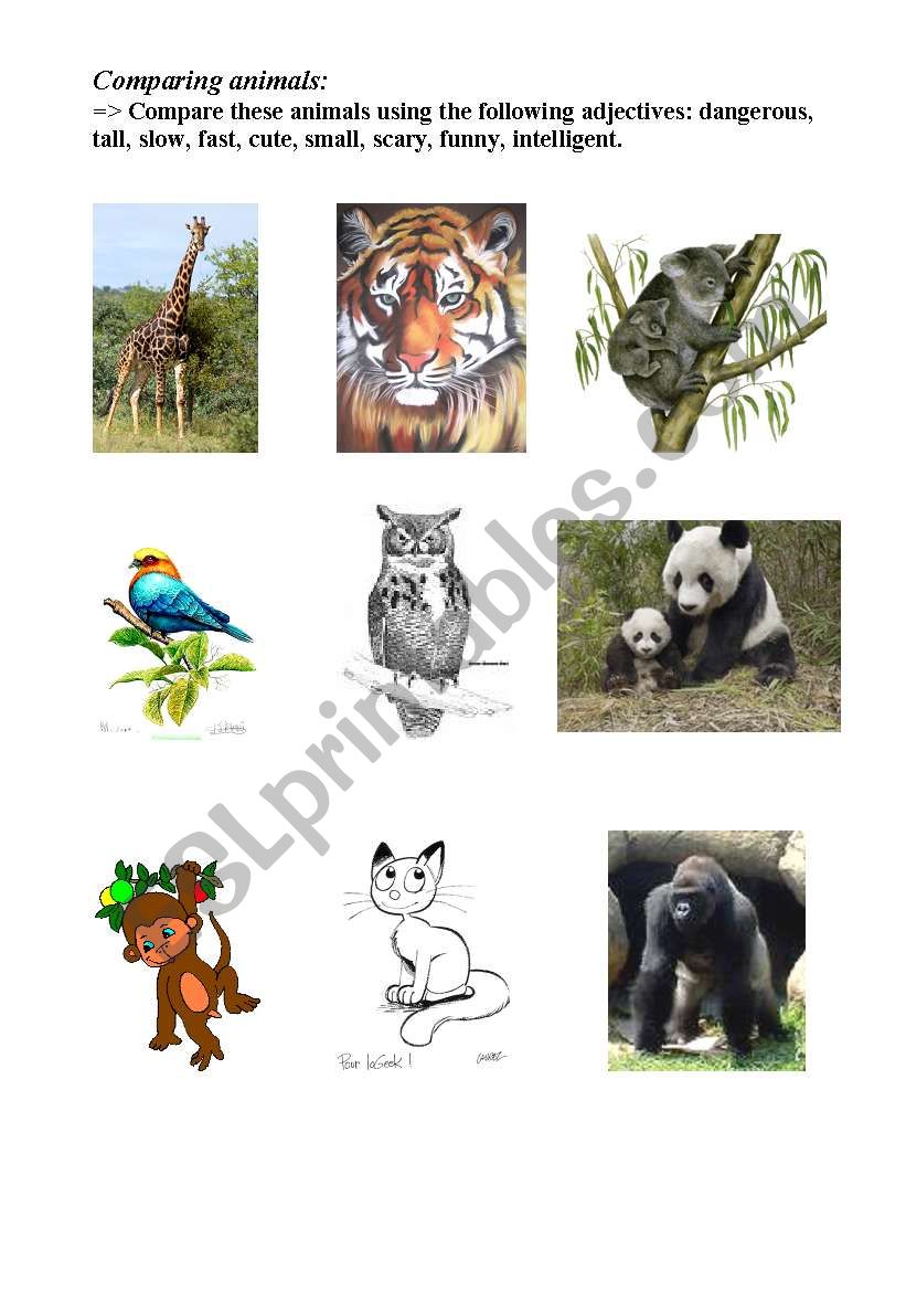 English worksheets: comparing animals English worksheets: comparing animals