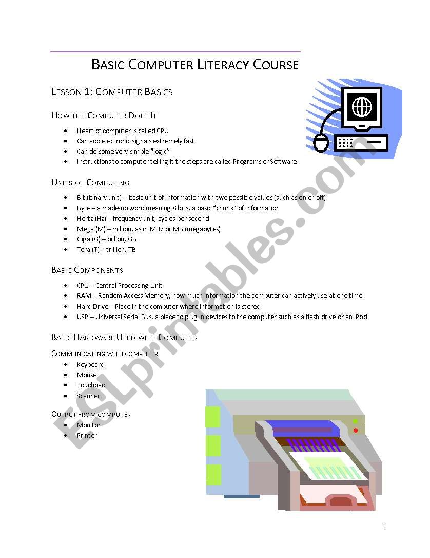 Basic Computer Literacy Course ESL Worksheet By MoodyMoody