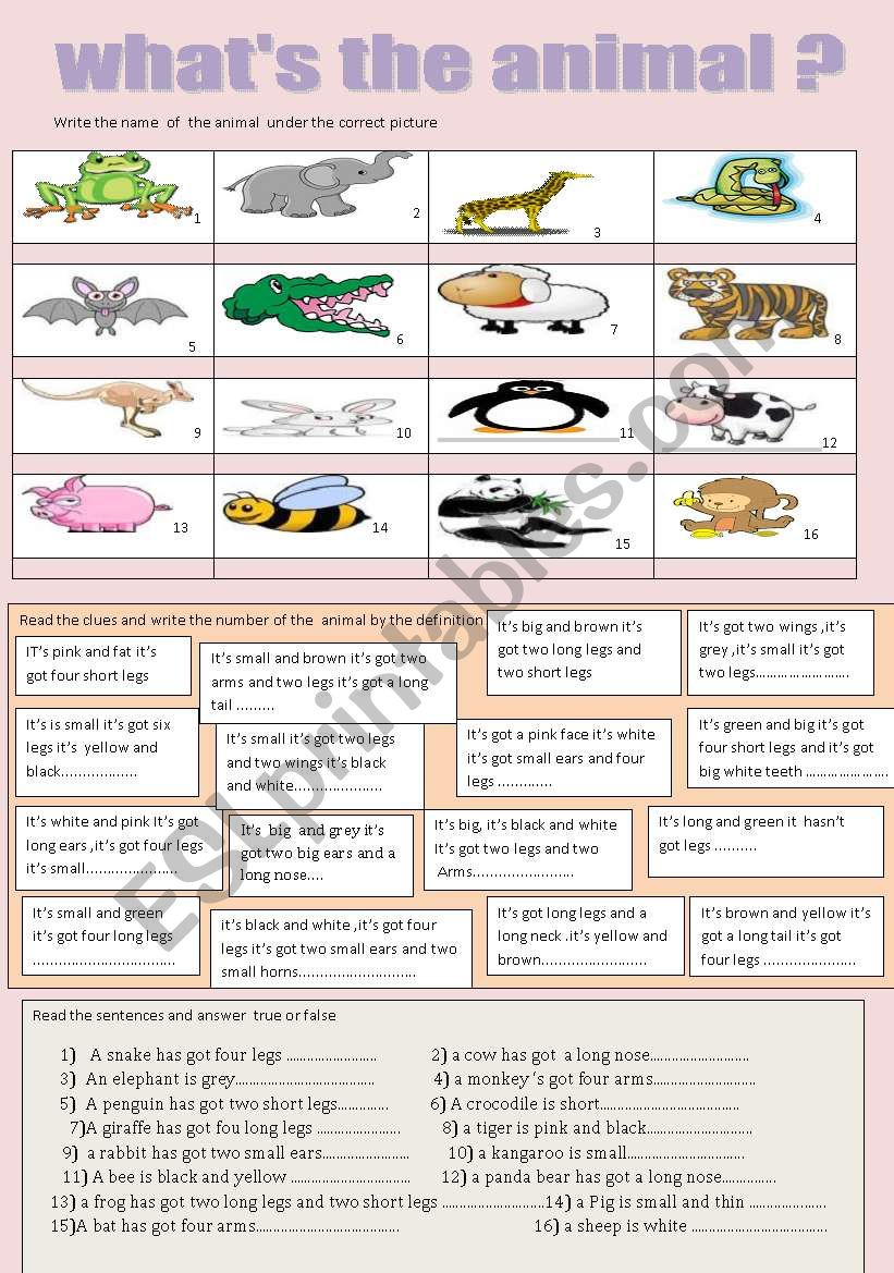 whatÂ´s the animal? - ESL worksheet by primpi