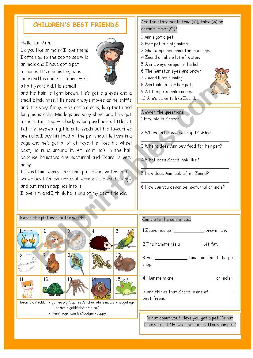 Children´s Best Friends (Pets) - ESL worksheet by kissnetothedit