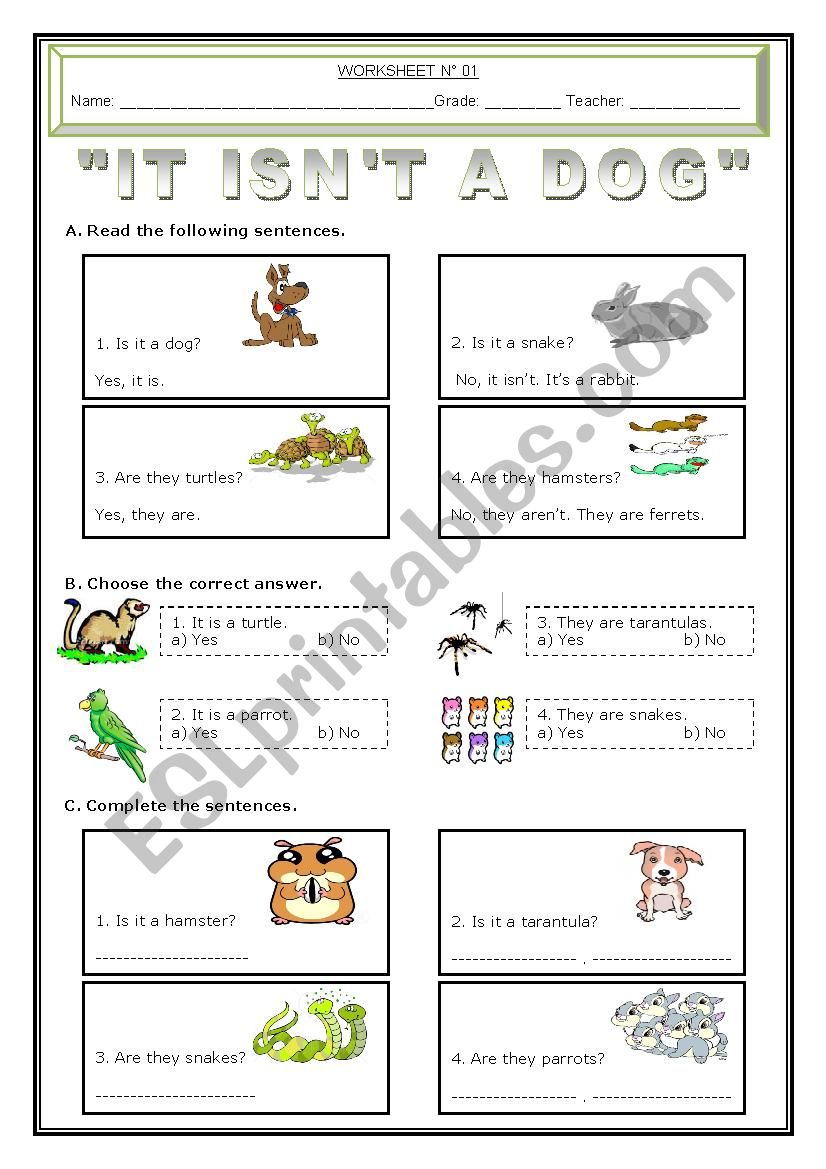 It isn´t a dog - ESL worksheet by Carsalpai