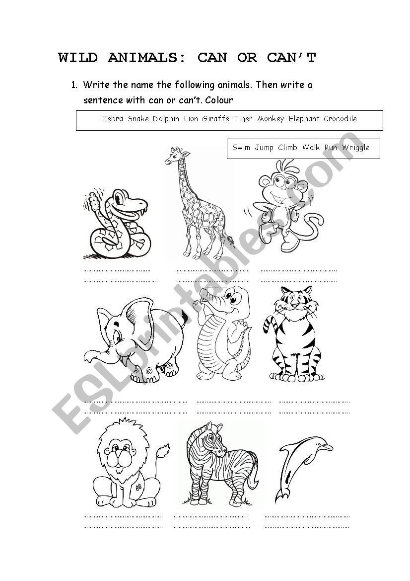 wild animals: can or can´t - ESL worksheet by mlalejos