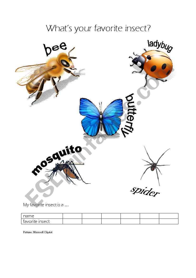 English worksheets: What´s your favorite insect?