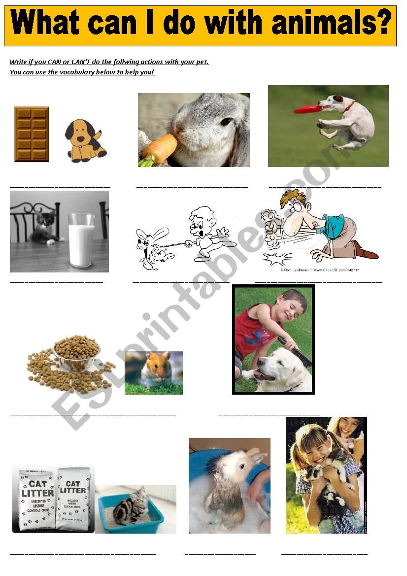 What can or can´t I do with pets? - ESL worksheet by mariebichereau