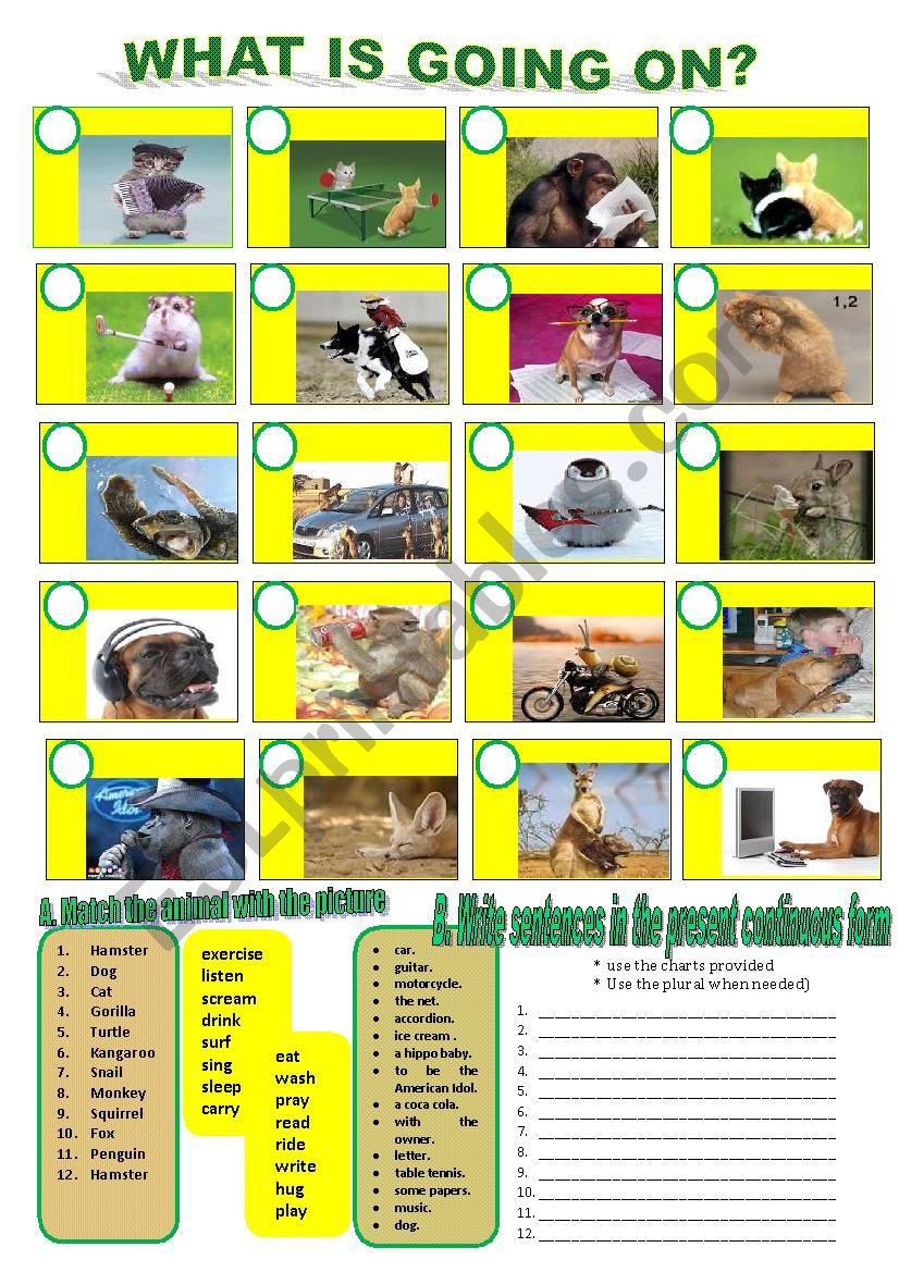 What´s going on? - ESL worksheet by AlexandraDores