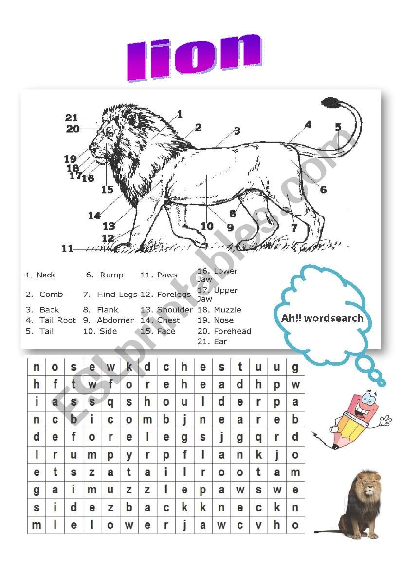 parts of lion´s body - ESL worksheet by srare
