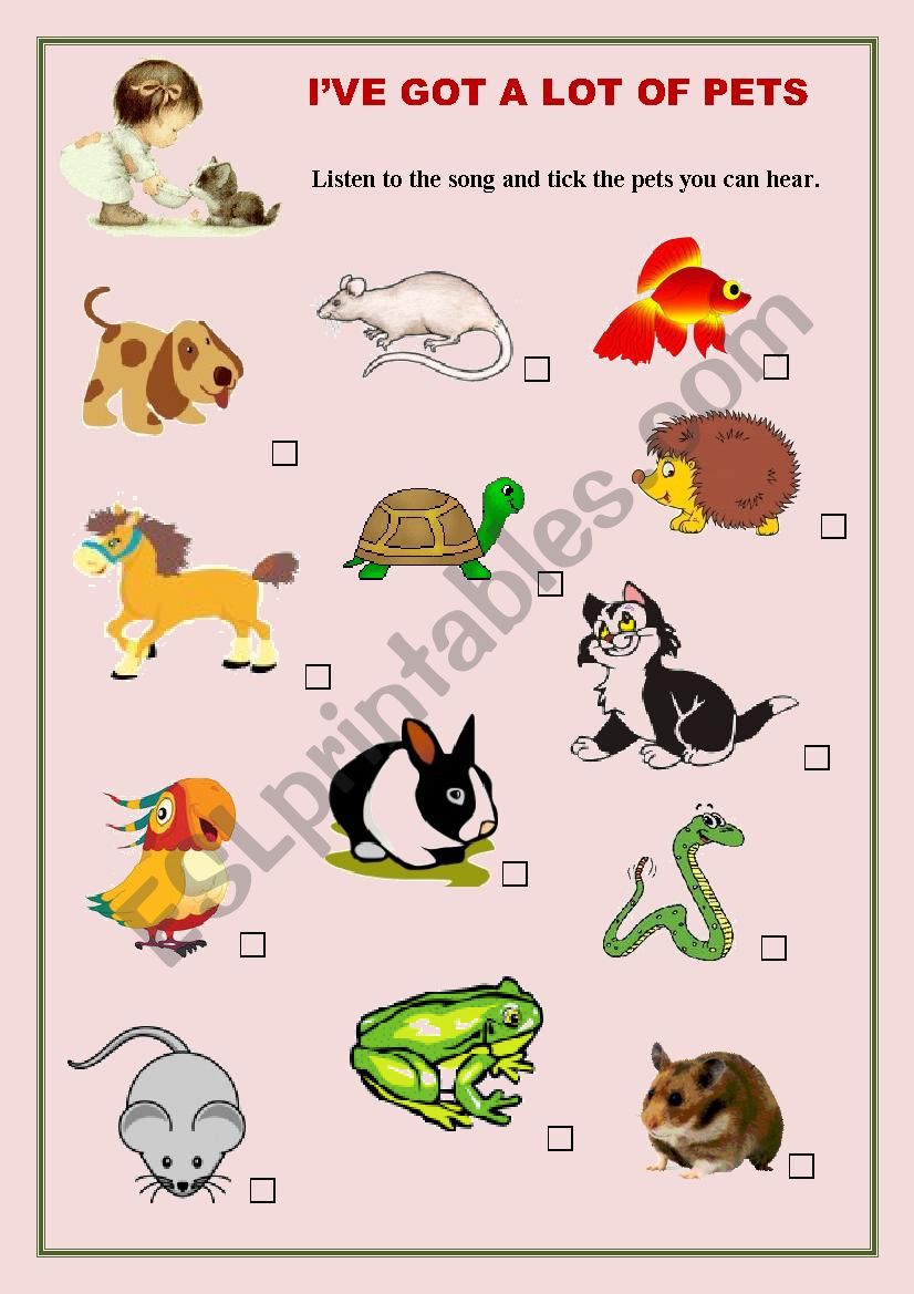 I´ve got a Lot of Pets - ESL worksheet by OlgaPrih