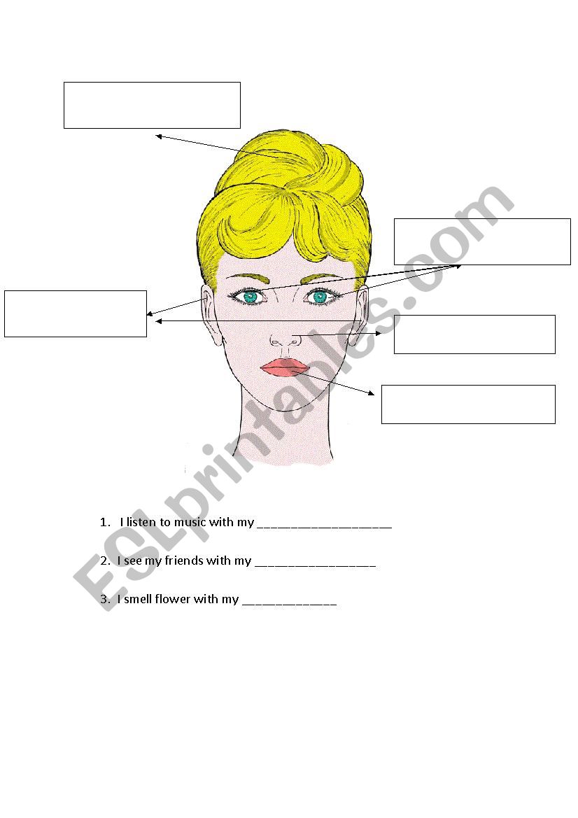 Parts of the face - ESL worksheet by pammartinez