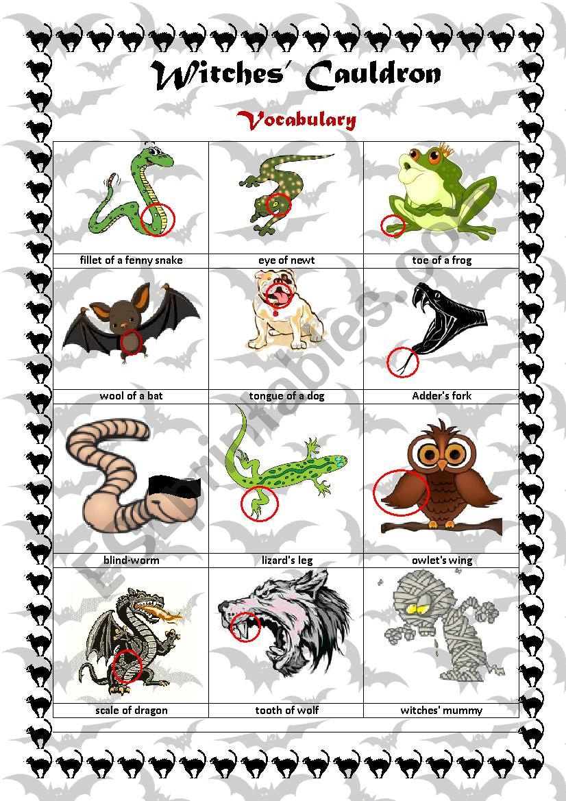 Witches´ Cauldron/Vocabulary - ESL worksheet by OlgaPrih