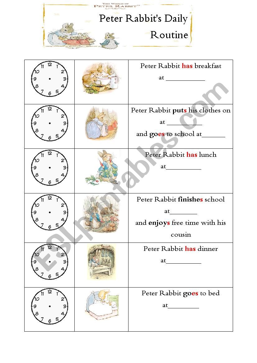 Peter Rabbit´s daily routine - ESL worksheet by MissBee50