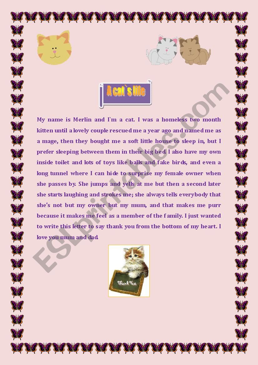 A cat`s life - ESL worksheet by Baronesa