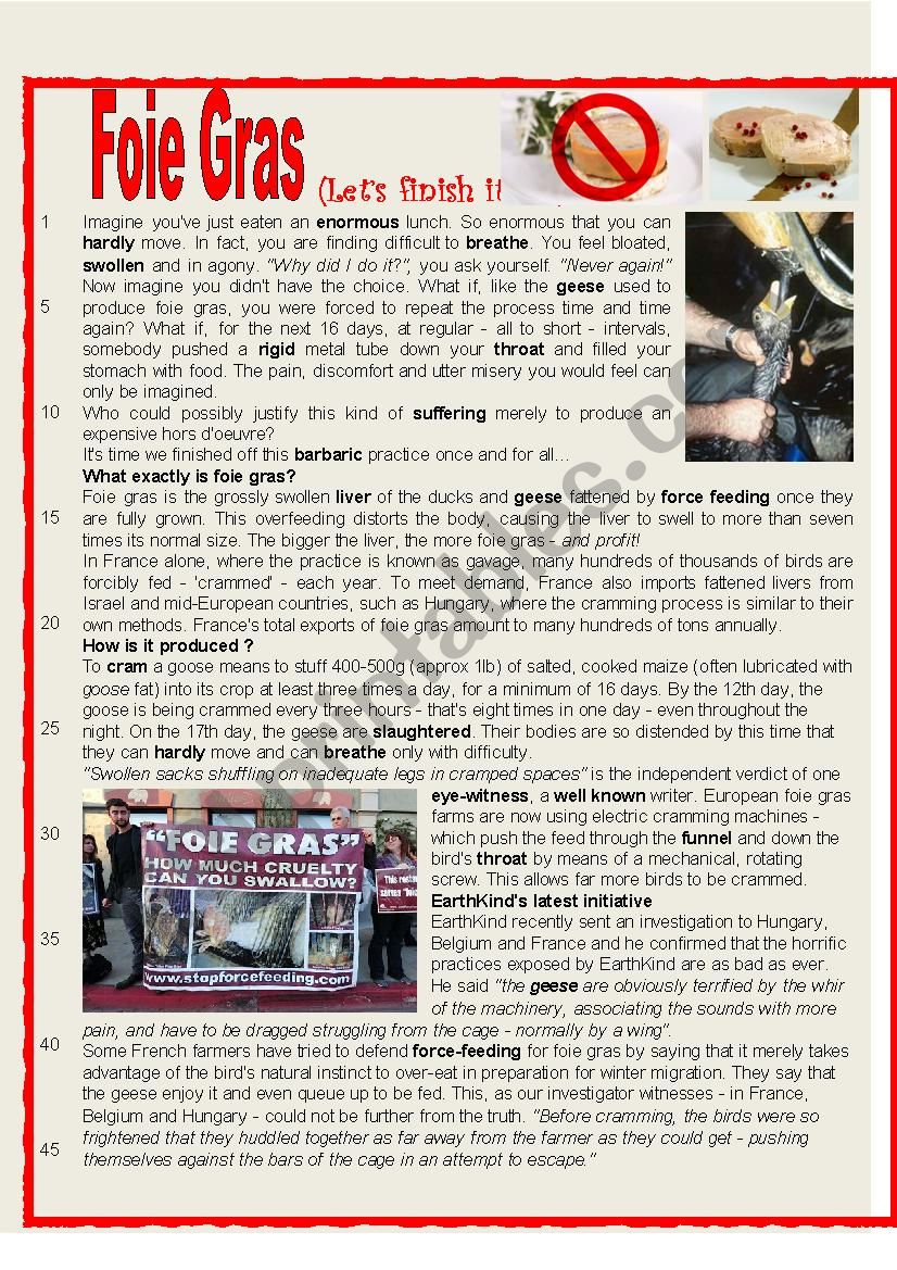 FOIE GRAS. Let´s finish it off. (controversial subject) - ESL worksheet ...