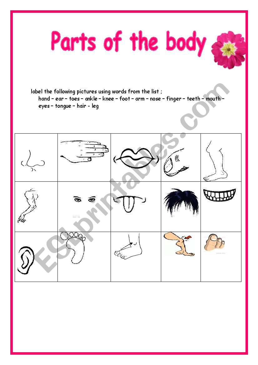 module 3 section 2 what´s the matter? - ESL worksheet by habibb