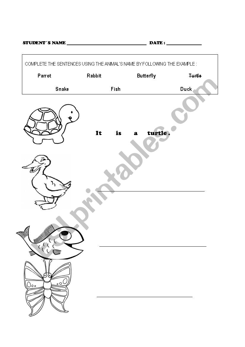 Bird´s name - ESL worksheet by auritareyes