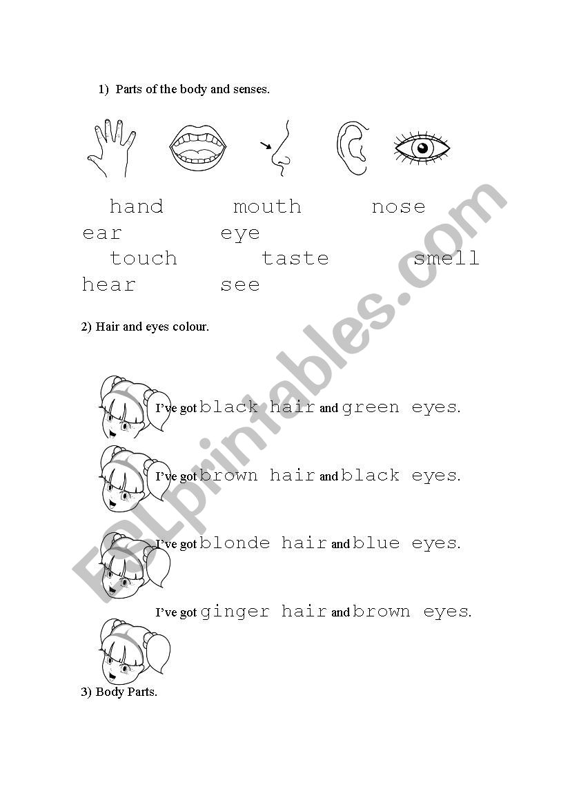 Parts of the body and colours - ESL worksheet by Martiki