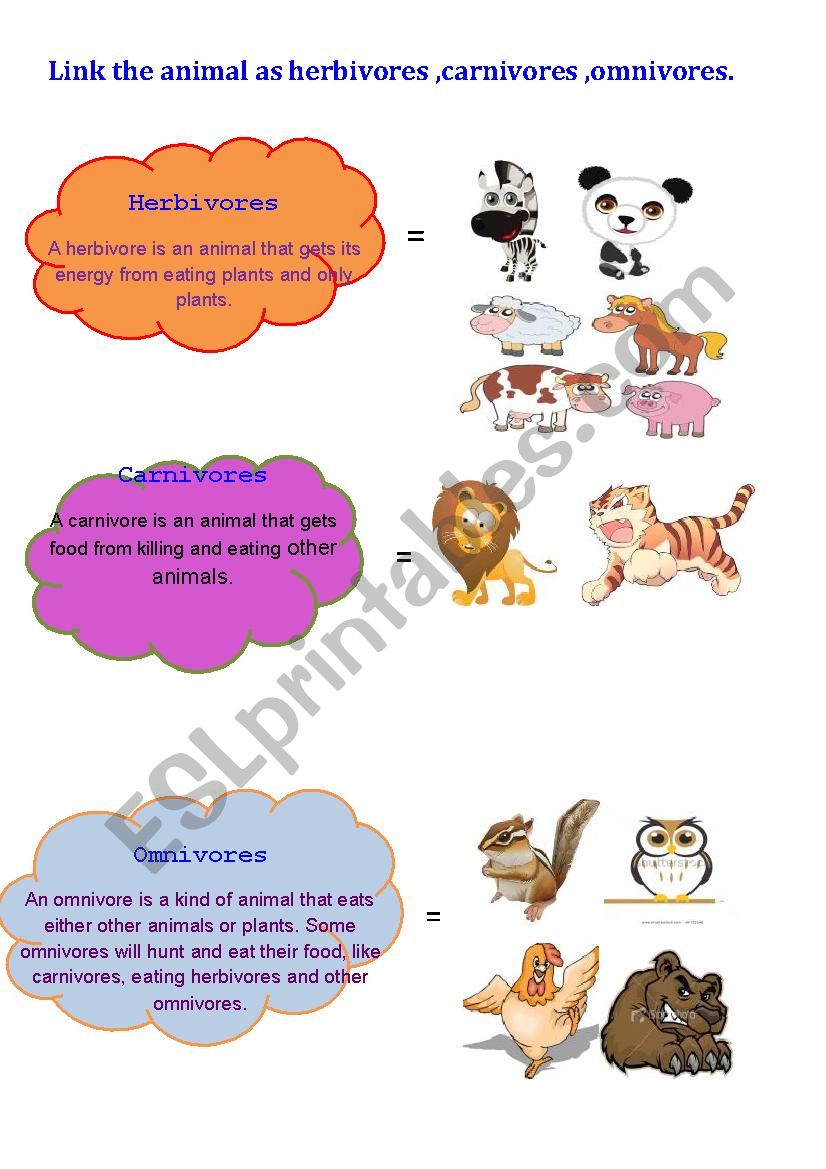 The type of animal - ESL worksheet by Parkhoney