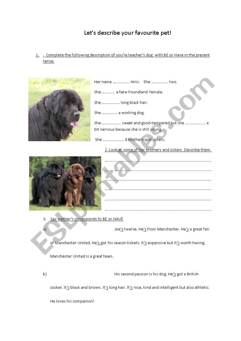 Let´s talk about your favourite pet - ESL worksheet by mercierc