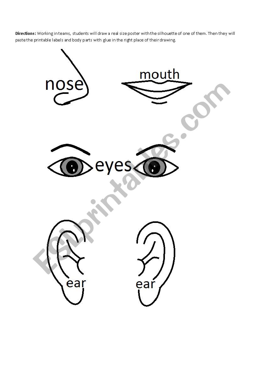 Body Parts - Real Size Poster - ESL worksheet by translalien