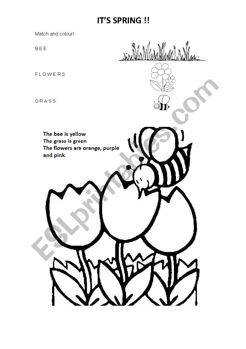IT´S SPRING - ESL worksheet by teacherampi