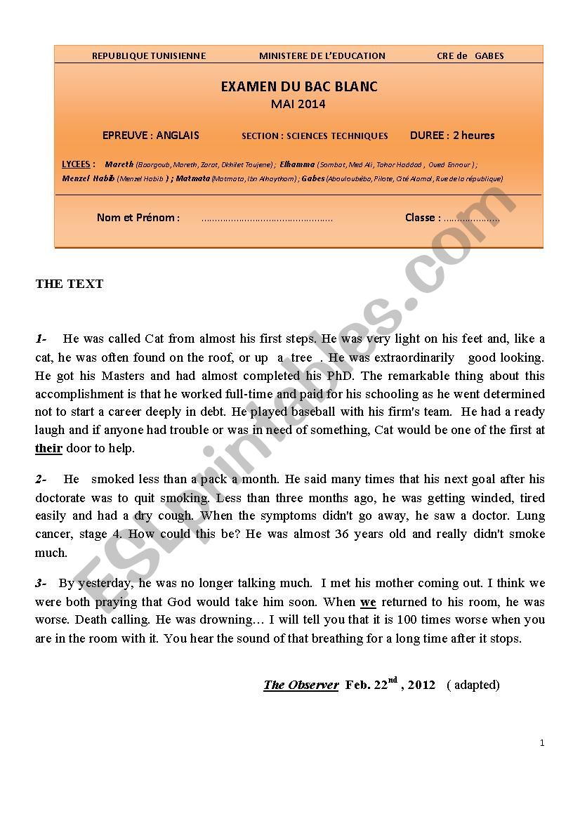 Bac Exam : mock test May 2014 with correction (3°) - ESL worksheet by ...