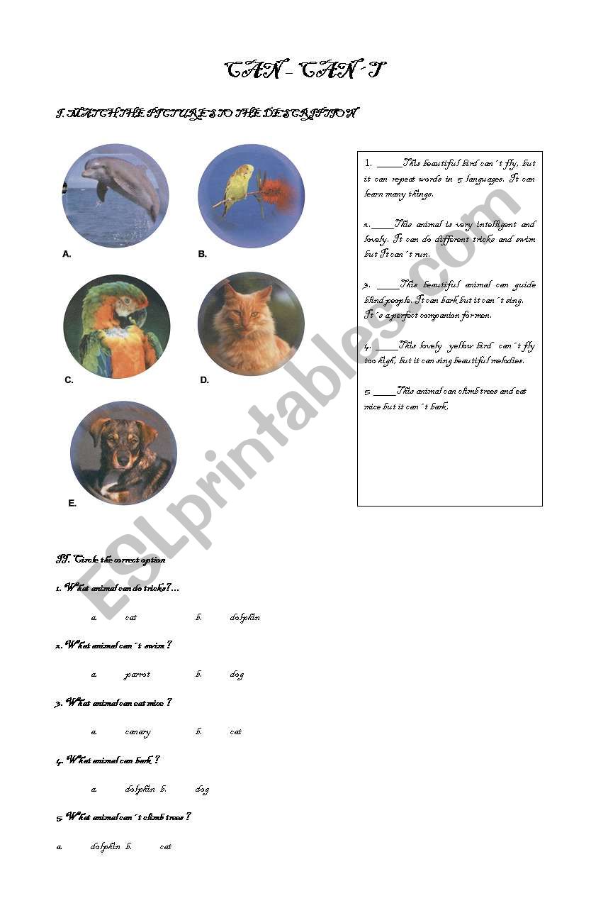 CAN -CAN´T READING WORKSHOP - ESL worksheet by yolimagomezp