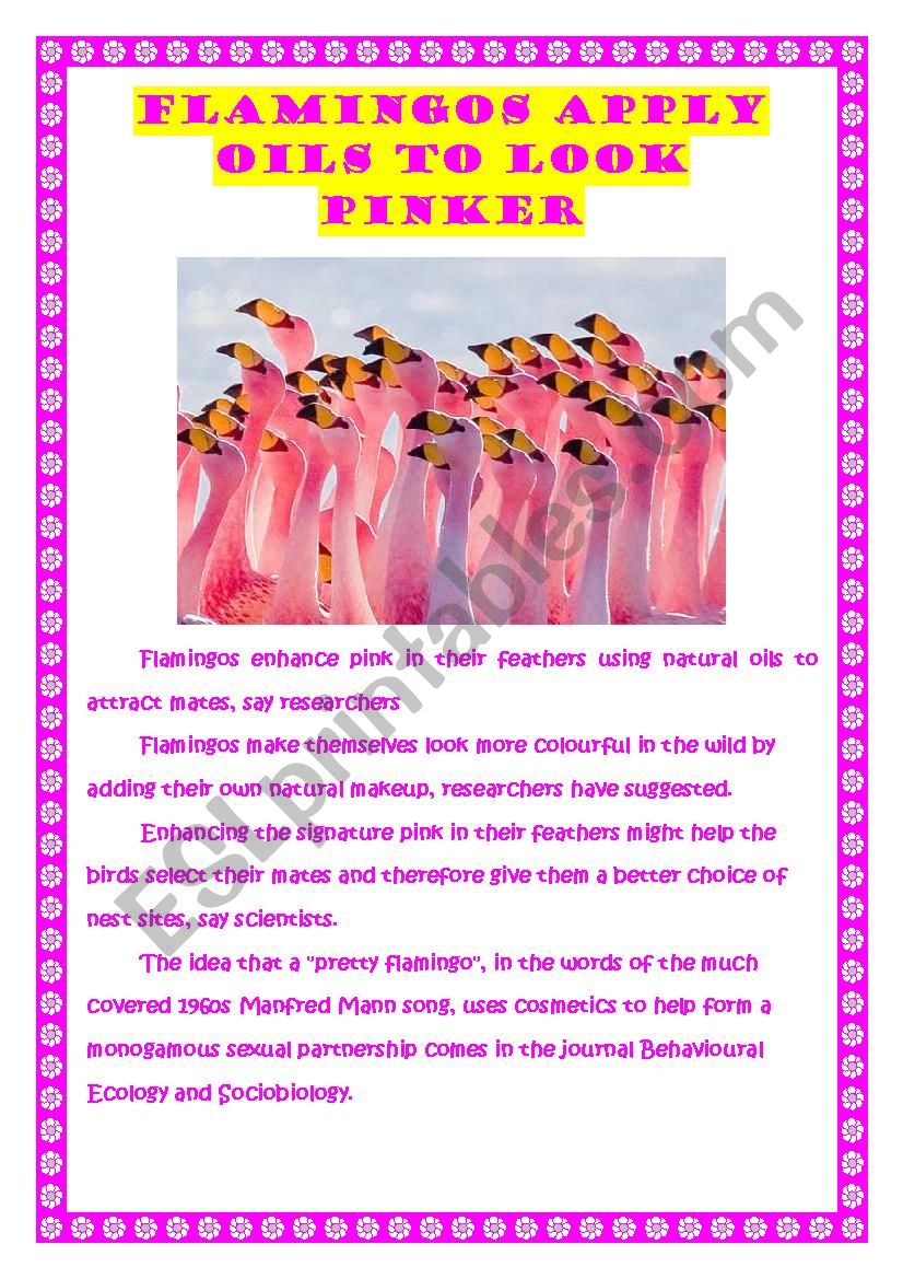 Flamingo´s colour - ESL worksheet by TatyanaVM